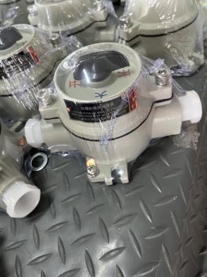 China ATEX Explosion Proof Switch IP65 G 3/4