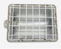 China Explosion-Proof Metal Halide Lamp 250W-1000W with IP65 Rating for Hazardous Areas for sale