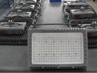 China 20-300W Explosion-Proof LED Flood Light IP66 T80℃ Aluminum Industrial Lighting for Hazardous Areas for sale
