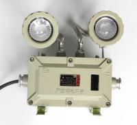China 3W*2 ExProof Emergency Light Built-In Maintenance-Free Battery Pack ≥120min for sale