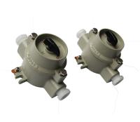 China Explosion Proof Switch 10A 220V/380V IP65 Surface Mount Cable Spec 9mm-13mm for sale
