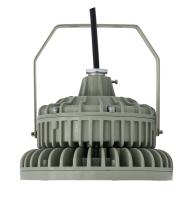 China ATEX Approved Explosion Proof LED Lighting WF2 5500K-6500K for sale