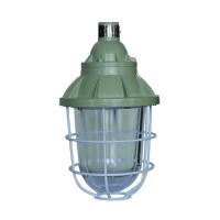 China Explosion Proof Anodized Ceiling Mount High Bay Fixture 135 Lm/w for sale
