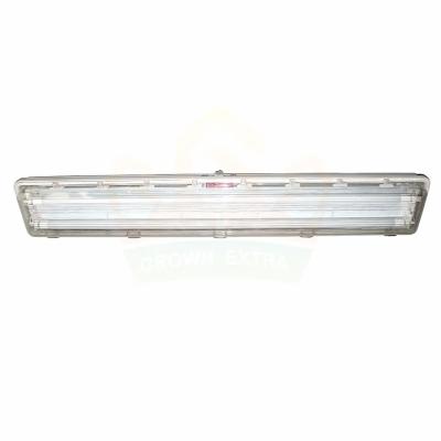 China 50000H Working Life Time Blast Proof Fluorescent Tube for Industrial Lighting Needs for sale