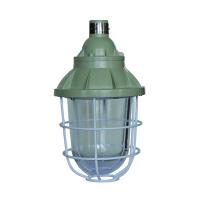 China ATEX Certified Explosion Proof HID LED Light with E27 Holder, IP65 Rating, 9000 Lumens for Hazardous Locations for sale