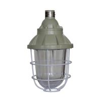 China Explosion Proof HID Lighting Fixture - 9000 Lumens, 5000K, Copper-Free Aluminum Housing for Hazardous Locations for sale