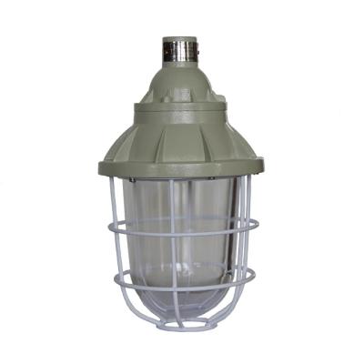 China Explosion Proof HID Lighting Fixture - 9000 Lumens, 5000K, Copper-Free Aluminum Housing for Hazardous Locations for sale