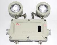 China 3600lm 80 CRI Anodized LED Lamp IP66 Rated Explosion Proof Light with Dual AC/DC Input for sale