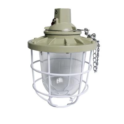 China Lumen 5000K Explosion Proof HID Light Fixture - 9,000 Lumens, IP65 Rated for Hazardous Locations for sale