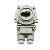China Explosion Proof Switch Cable Entry G3/4 Model No SW-10 Current 10A For Hazardous Environments for sale