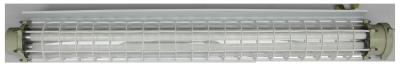 China Explosion Proof Fluorescent Light 110lm/w Exde IIC T6 Gb Zone 1 2 600mm 1200mm for sale