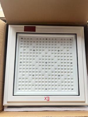 China CREE Chip 50W 240W Explosion Proof LED Flood Light Hazardous Location IP66 140lm/W for sale