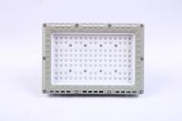 China Explosion Proof Flood Light 250W 130lm/W ATEX EAC IP66 WF2 for Zone 2 21 22 Oil Gas for sale