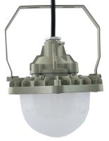 China 100-277v 100lm/W 50w Explosion Proof Led Lighting for sale