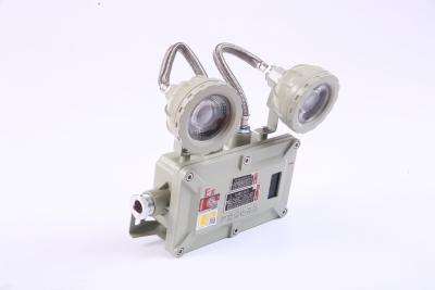 China Flameproof Wall or Ceiling Emergency Light With 90/120/180mins 2*5w for sale