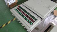 China Wall Mounted 2mm Explosion Proof Flameproof Control Panel IP66 WF2 ATEX Certified for sale