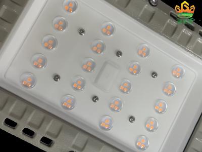China ATEX Certified Explosion Proof LED Flood Light 100W-200W AC100-277V for Zone 1 2 21 22 for sale