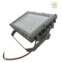 China Explosion Proof LED Flood Light 100W 200W ATEX IECEx Zone 1 2 21 22 IP66 for sale