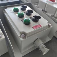 China IP66 WF2 Protection Explosion Proof Fiber Optic Patch Panel Flameproof Control Power Distribution Panel For Heavy Equipment for sale
