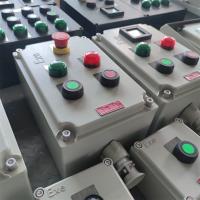 China Flameproof Control Board With IP66/WF2 Protection For Hazardous Environments for sale