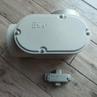 China Explosion Flameproof Threading Box IP66 Aluminum Enclosure Hazardous Area Customer Cable Settings G2 for sale