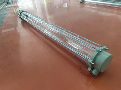 China Marine Explosion Proof Fluorescent Light for T8 LED Tubes 2ft/4ft (0.6m/1.2m) Flameproof Fixture for sale