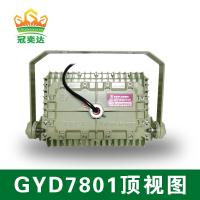 China Explosion Proof LED Floodlight Aluminum Alloy IP66 WF2 for sale