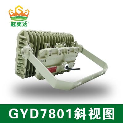 China ATEX IECEx Explosion Proof LED Flood Light 100-277V 50000Hrs IP66 WF2 for sale