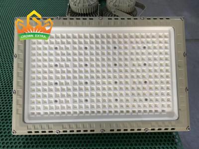 China Intrinsically Safe LED Aluminum Floodlight with MEANWELL Driver for sale