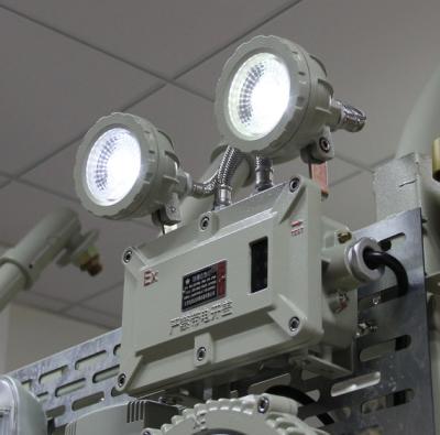 China ATEX Certified 6W Explosion‑Proof Twin‑Head Emergency Light – Wall‑Mounted, IP65, Class I/Zone 1 & 2 for sale