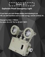 China BCJ Explosion Proof Emergency LED Light 2x3W 220VAC 50000h Life OEM for sale