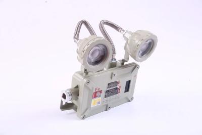 China Industrial 2*3Watt 220VAC 24/36VDC Flameproof Emergency Lighting for sale