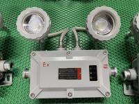 China 2x3W Aluminum Alloy Flameproof Emergency Light for sale