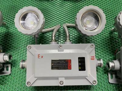 China 2x3W Aluminum Alloy Flameproof Emergency Light for sale