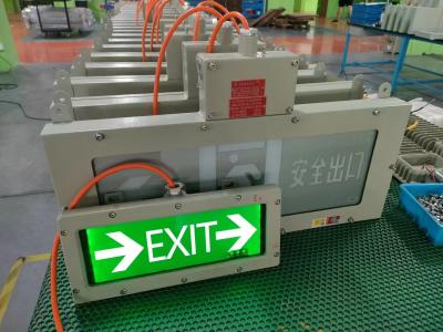China Explosion Proof Emergency Exit Light – Compact Design, 180min Duration, CRI ≥70, Customizable for Hazardous Areas for sale