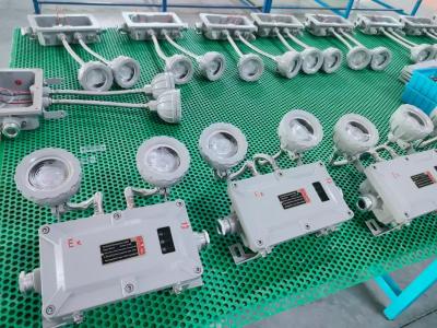 China Explosion Proof LED Emergency Light 2x3W 220VAC Wall Ceiling Mount for sale