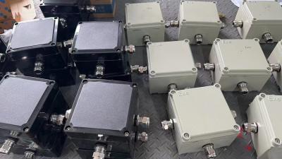 China IP66 WF2 Flameproof Distribution Board 225A AC220 380V Aluminium Stainless Steel for sale