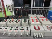 China ATEX CNEX Certified Flameproof Control Panel IP66 WF2 2mm Panel AC220/380V for sale