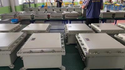 China Waterproof Powder Coating Flameproof Distribution Board With IP66 WF2 And Customized Cable Entry for sale