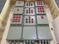 China 2mm Explosion Proof Control Panel IP66 Wall Mount AC220V/380V Carbon Steel Aluminum for sale