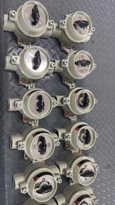 China IP66 Explosion Proof Switch 2 Pole 10A 220V/380V Surface Mount for Hazardous Locations for sale