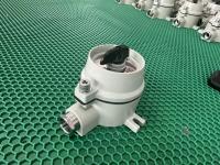 China Explosion Proof Switch 2 Pole IP66 Marine Grade Aluminum 220V 380V 10A for sale