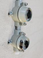 China 9mm-13mm Cable Spec Explosion Proof Switch for Chemical Plant Waterproof Features for sale
