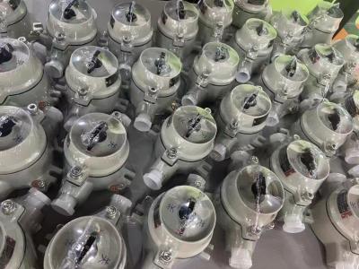 China Marine Grade Aluminum 2 Pole 10A Explosion Proof Switch IP66 Dustproof G3/4 Cable Entry for sale