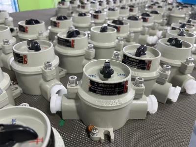 China Explosion Proof Switch Surface Mount IP66 10A 220V/380V 2 Pole G3/4 Cable Entry for sale