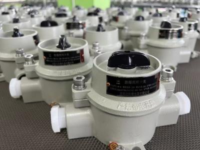 China Corrosion Resistant Explosion Proof Switch With Ip66 Protection Level For 9-13mm Cable Entry for sale