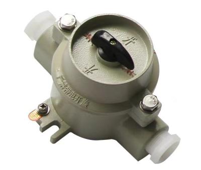 China 2 Pole Explosion Proof Toggle Switch 10A 220V/380V IP65 for Hazardous Area for sale