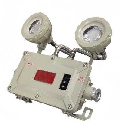 China 2*5w Explosion Proof Emergency Lights Wall And Ceiling Mounting For Hazardous Situations for sale