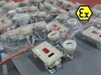 China Zone 1 Flameproof Emergency Light 2*5Watt For Marine Applications for sale