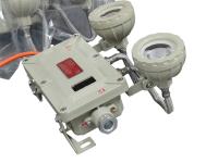 China Ceiling Mounted ATEX Flameproof Explosion Proof Emergency Light With Ni-Cd Battery And Reflective Lens for sale